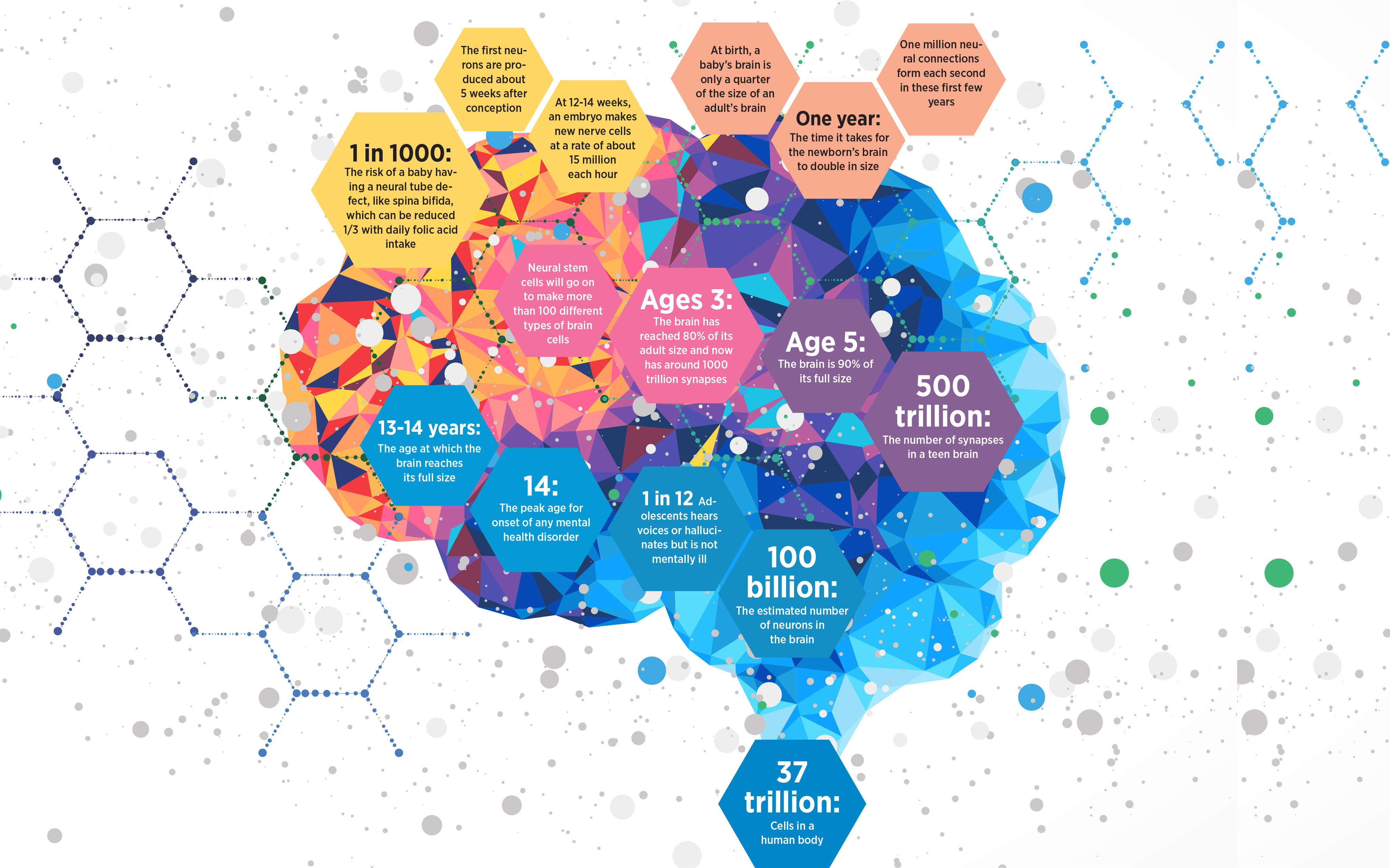 Posters - Queensland Brain Institute - University of Queensland