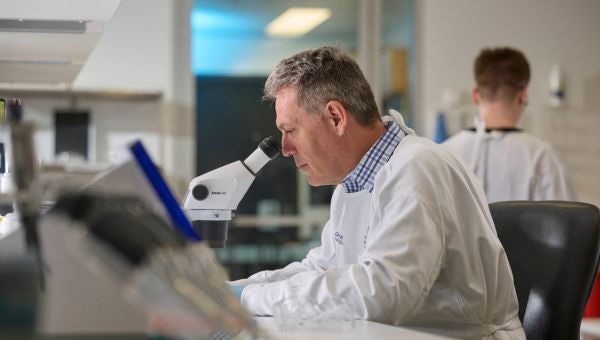 Dynamic DNA structures and formation of memory - Queensland Brain ...