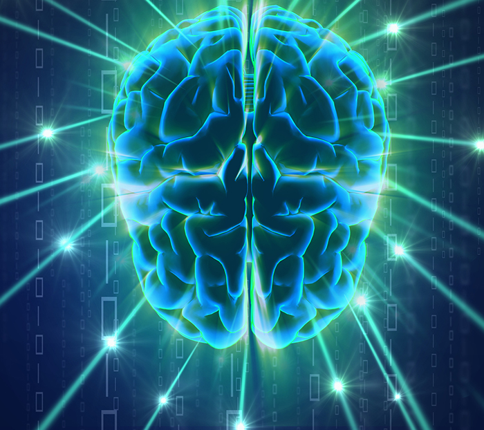 Immune cells help shift thinking on brain injury - Queensland Brain ...