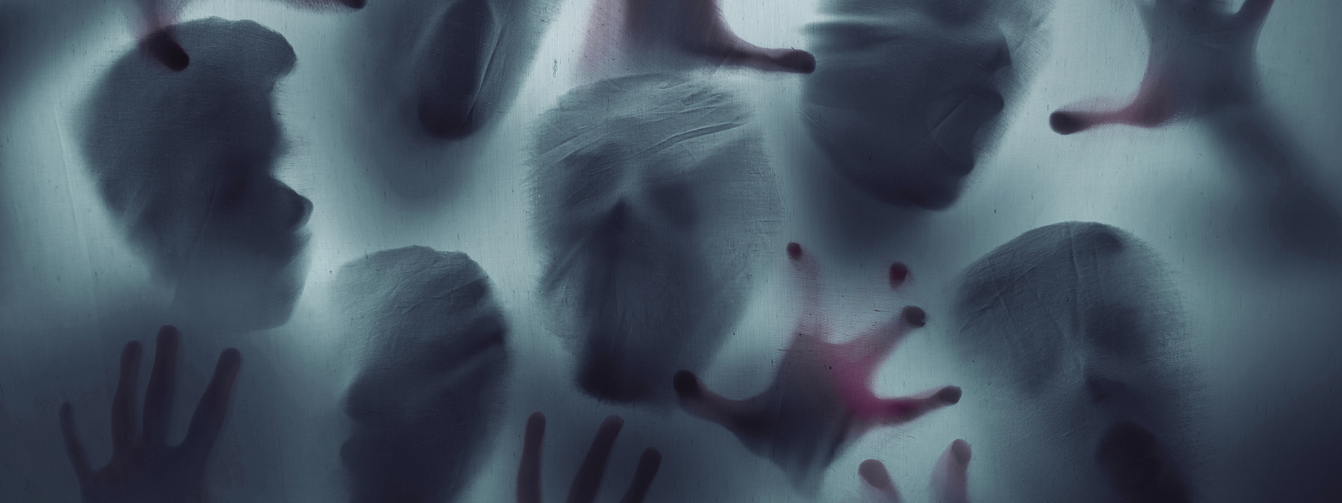 Stopping fearful memories relies on DNA flexibility - Queensland Brain ...