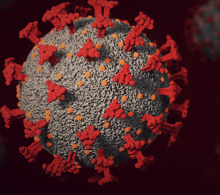 Mathematical model predicts effectiveness of COVID-19 vaccines - Queensland Brain Institute ...