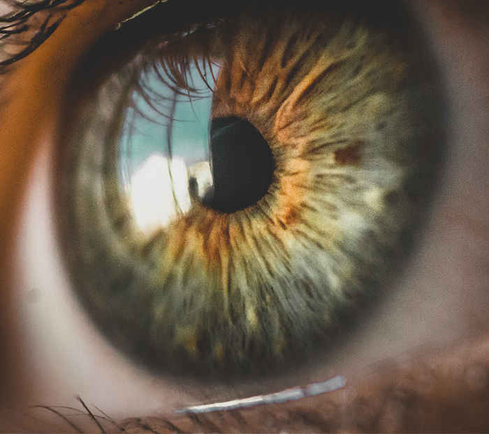 Making sense of how we see the world - Queensland Brain Institute ...